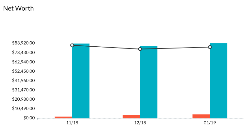 Checking In With My Net Worth and Financial Runway: January 2019 - The ...